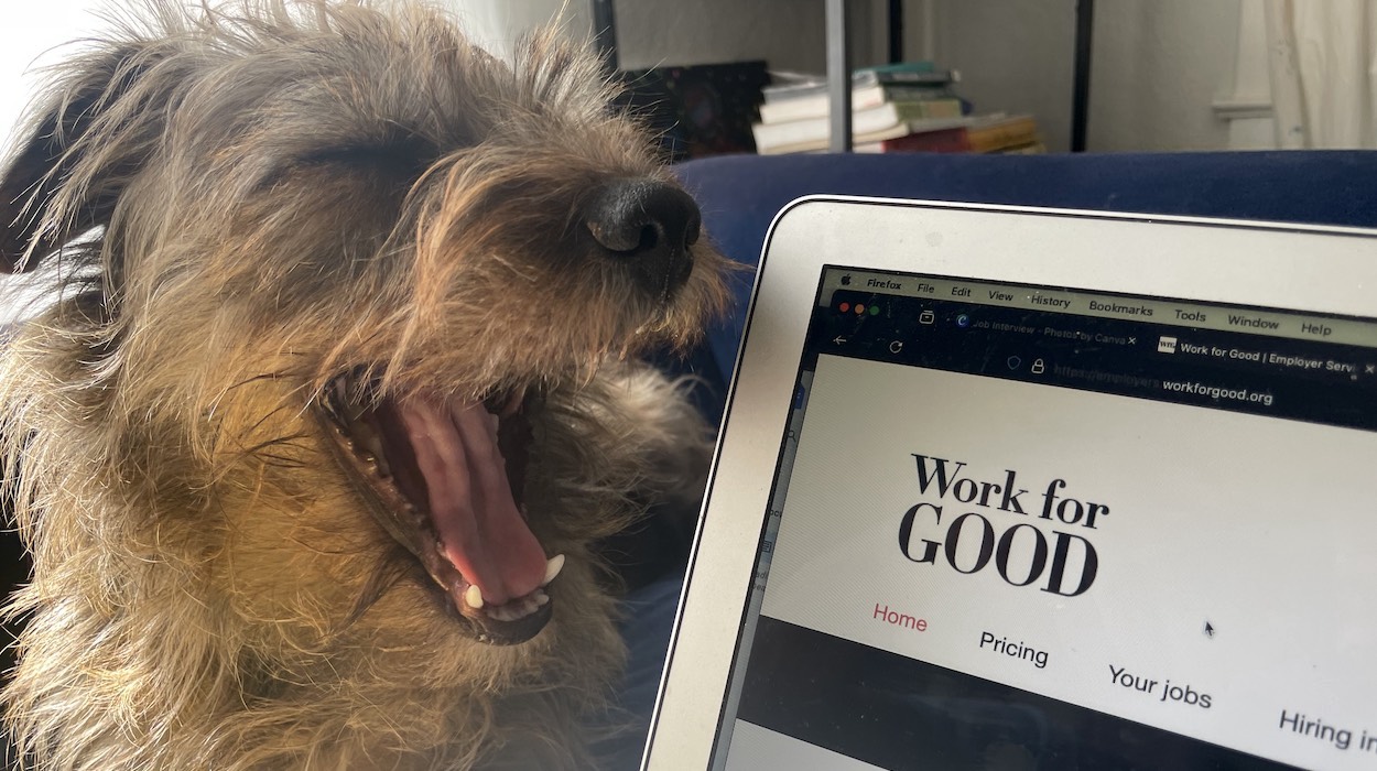 Work for Good platform how-tos: A roundup for jobseekers | Work for Good